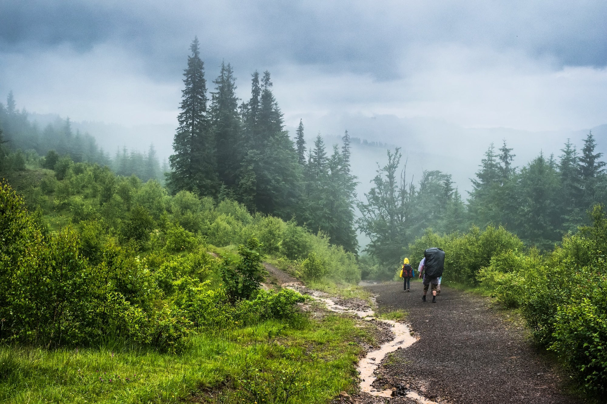 PNW Rainy Day Camping: How to Stay Dry and Still Enjoy the Outdoors ...